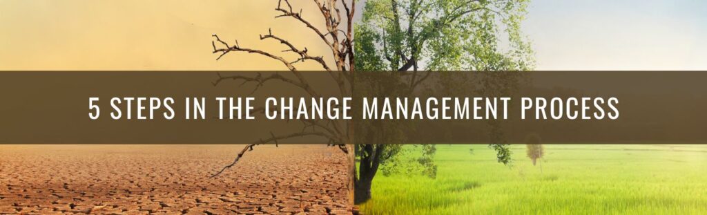 5 Steps in the Change Management Process – Business Fluency